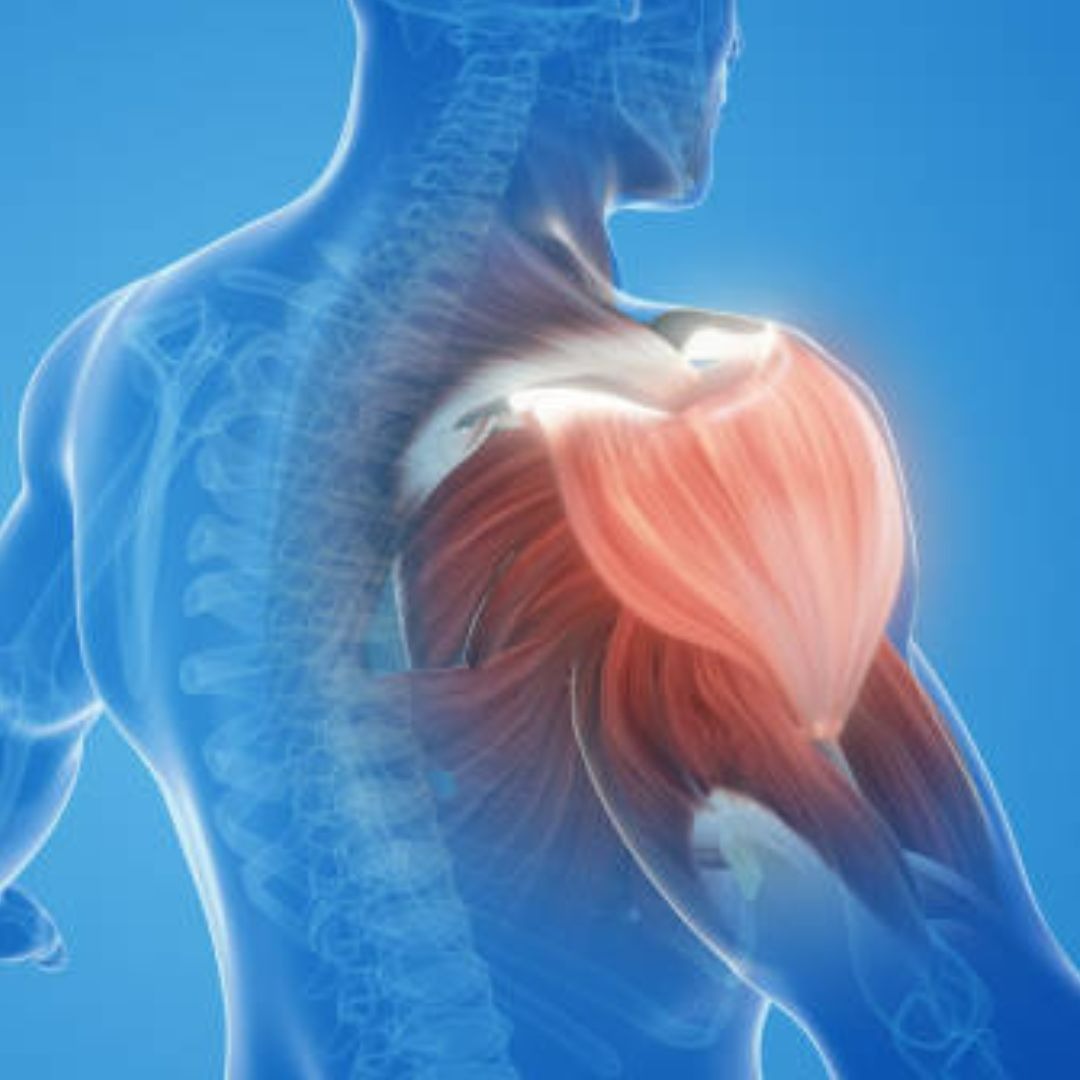 Quick Chiropractic Laser Therapy in Brighton MA